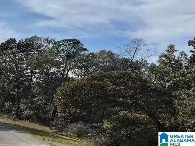 0 SILVER CIRCLE # 5, JACKSONVILLE, AL 36265