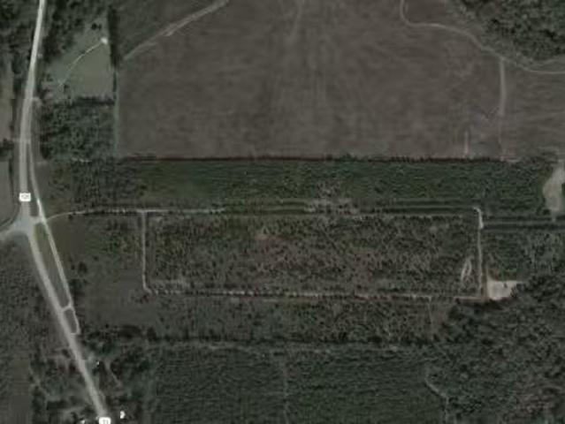 0 Silver Creek Rd #LOT 8, Hawkinsville, GA 31036 MLS 10476437