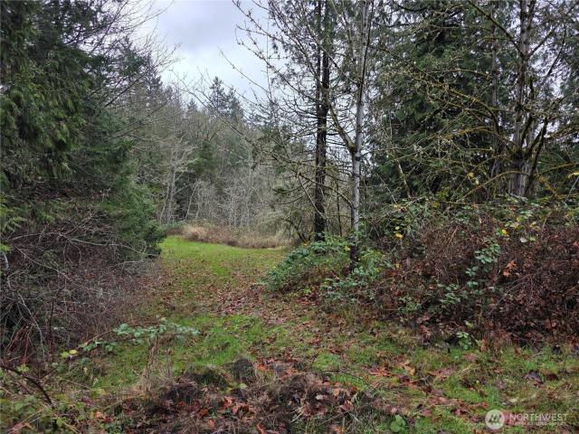 0 Silver Cv Dr, Silverlake, WA 98645 | MLS #2464 | Compass