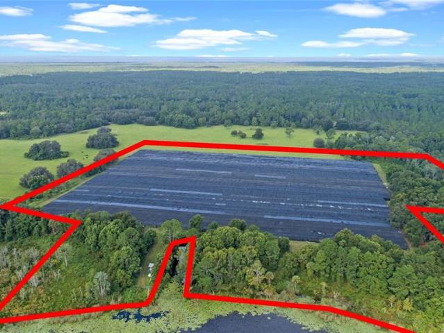 0 Silver Pond Rd, Seville, FL 32190 | MLS #V4938 | Compass