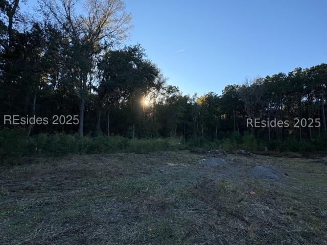 0 Simmonsville Rd, Bluffton, SC 29910 | MLS #509231