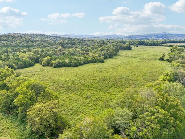 0 Simmons Bluff Road