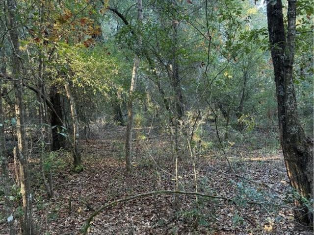 0 Simmons St, Guyton, GA 31312 | MLS #SA343281
