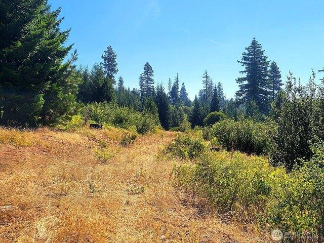 0 Simcoe Reserve Mtn Lot 1 3, Goldendale, WA 98620