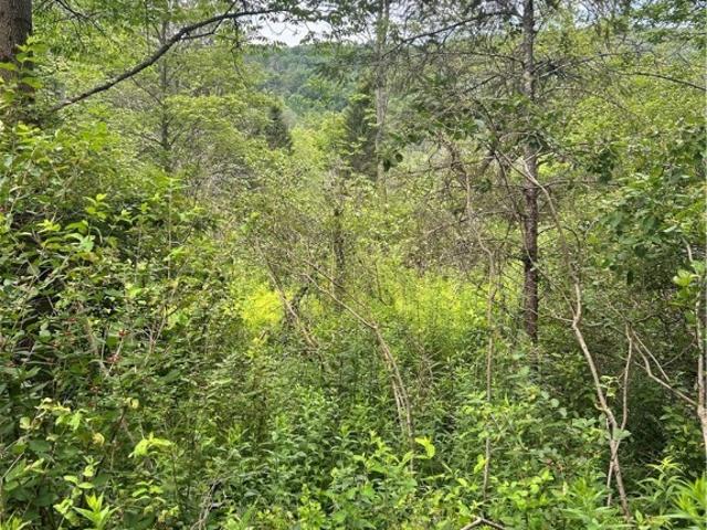 Lot 4 Sisson Hill Road