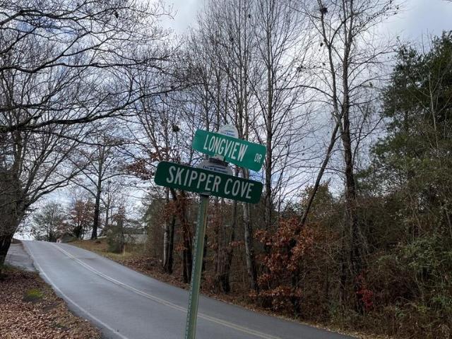 0 Skipper Cove, Hiawassee, GA 30546 | MLS #414881