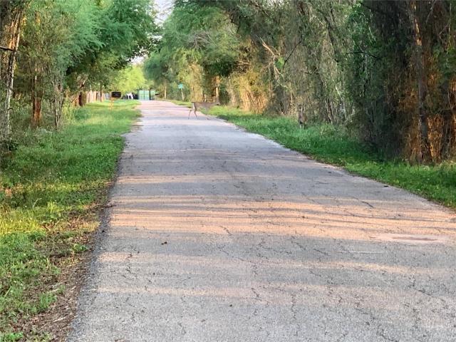 0 Skrivanek Rd, Lot 1, Sealy, TX 77474 | MLS #83245