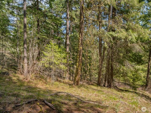 0 Skull Springs Rd, Cle Elum, WA 98922 | MLS #2482 | Compass