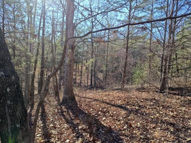 0 Skyhigh Trail
