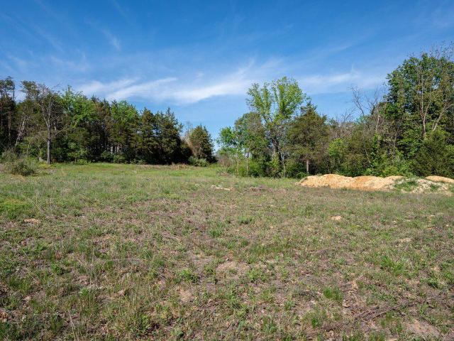 0 Skyview Dr, Luray, VA 22835 | MLS #VAPA2006 | Compass