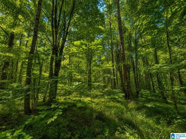 0 Smith Mill Road # 2