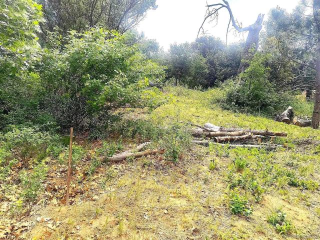 0 Smokey Ln, Unit 13, Julian, CA 92036 | MLS #260008