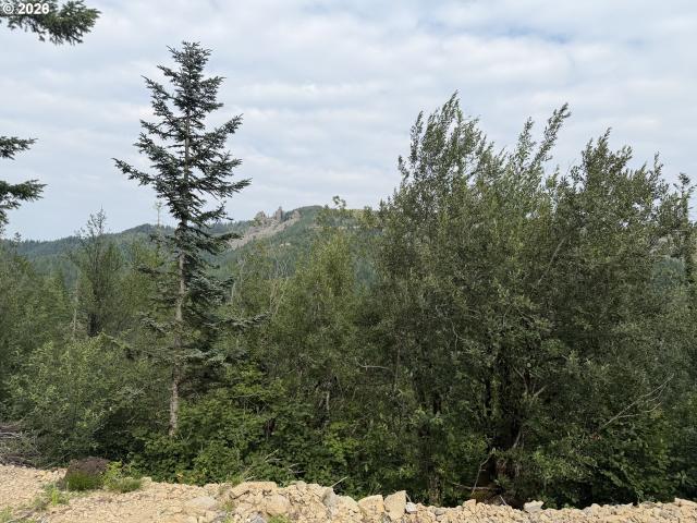 0 snag mountain rd # 112