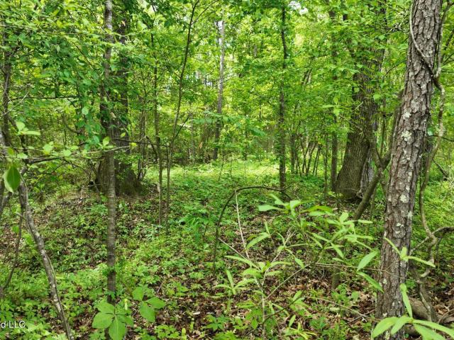 0 Snake Creek Road