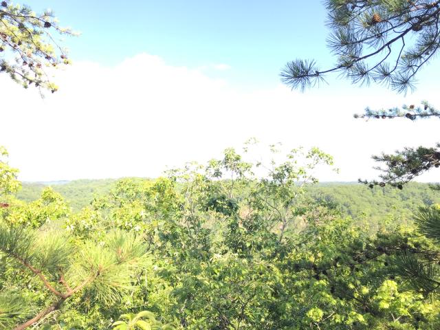 0 South Fork