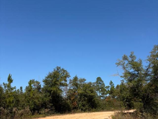 0 Southern Blvd, Unit LOT 27, Alford, FL 32420 | MLS #782345