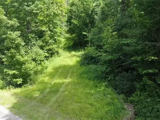 0 SPEED HILL ROAD, BROOKTONDALE, NY 14817 Vacant Land For Sale.