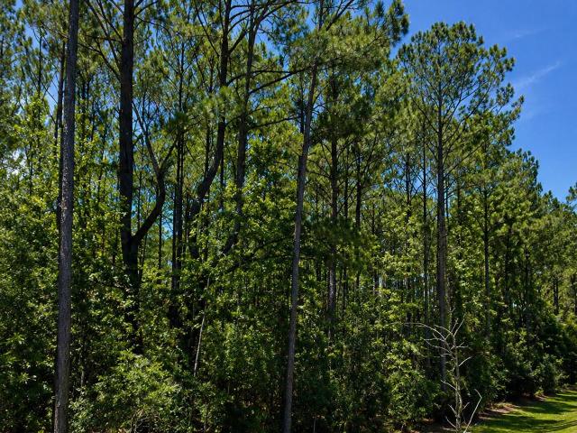 0 Sportsman Island Drive