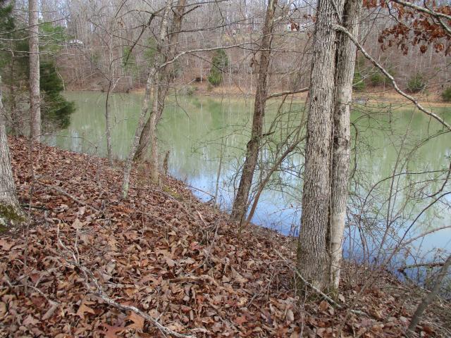 0 Split Lake Drive