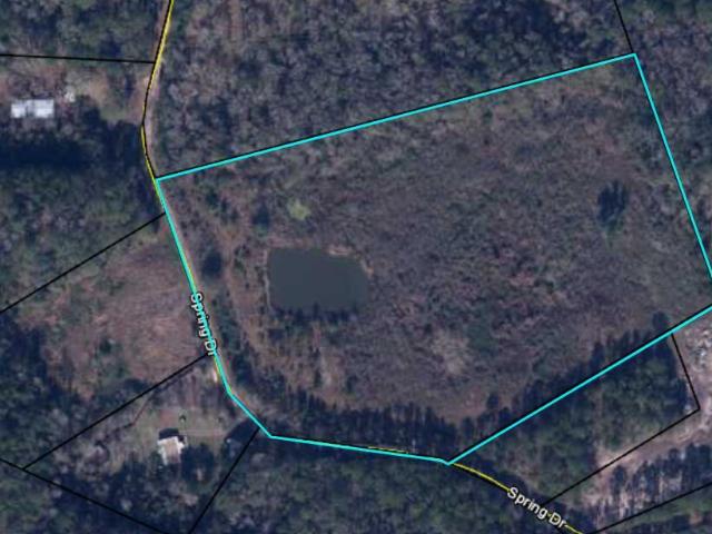 0 Spring Dr, Middleburg, FL 32068 | MLS #2049