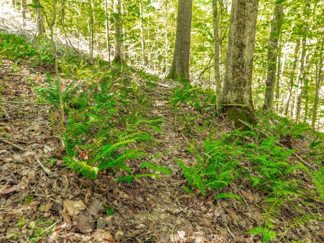 0 Spring Hollow Rd