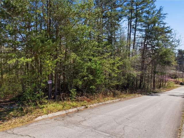 0 Springdale Ave, Liberty, SC 29657 | MLS #20298