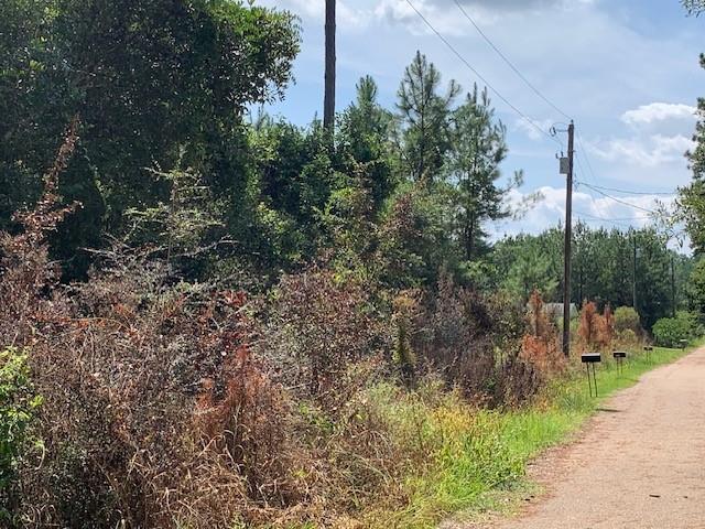 0 Sq 30 Crain St, Abita Springs, LA 70420 | MLS #2525