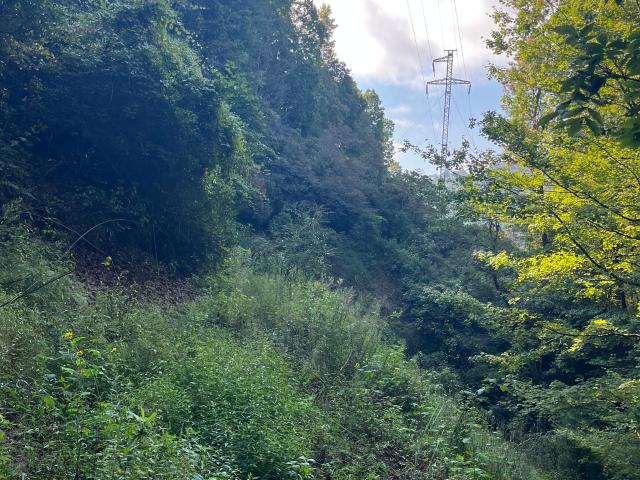 0 Tuckaway Lane