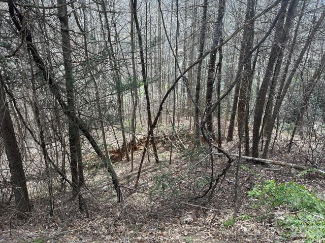 0 Tuckaway Ridge Drive