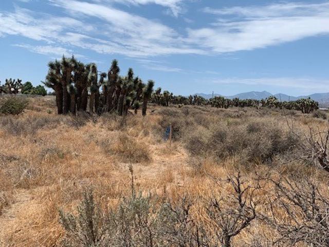 0 Tumbleweed, Phelan, CA 92371 | MLS #IV21193