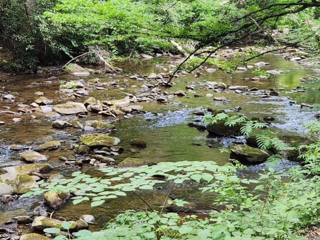 0 Tumbling Creek Road