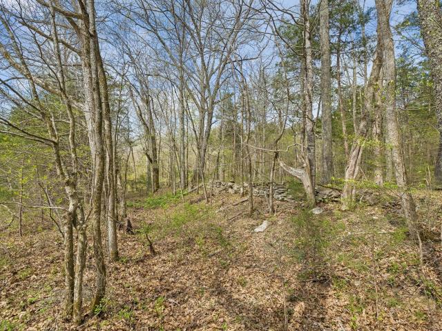 0 Turney Rd, Auburntown, TN 37016 | MLS #3191