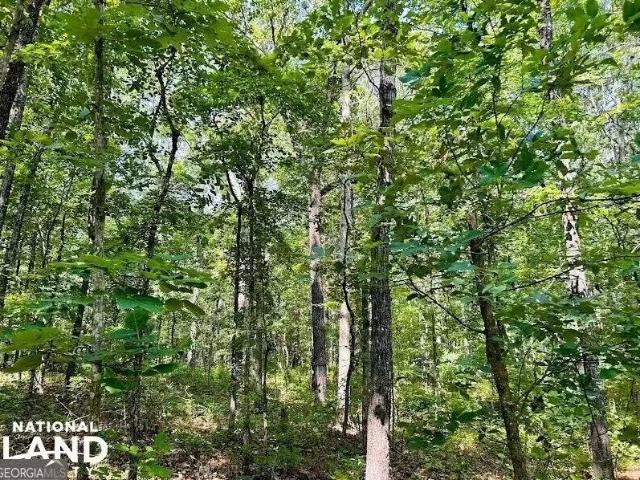 0 Turkey Ct, Waco, GA 30182 MLS 10334336