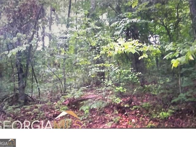 0 Turtle Cove Throughway LOT 72