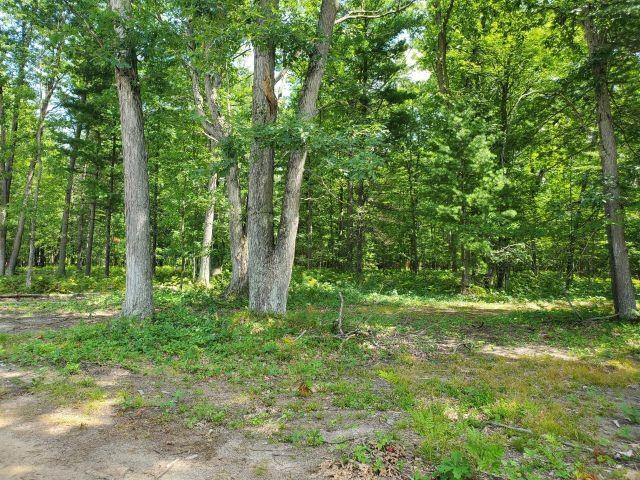 0 Turtle Lake Road # Parcel 7 Turtle Lake Road