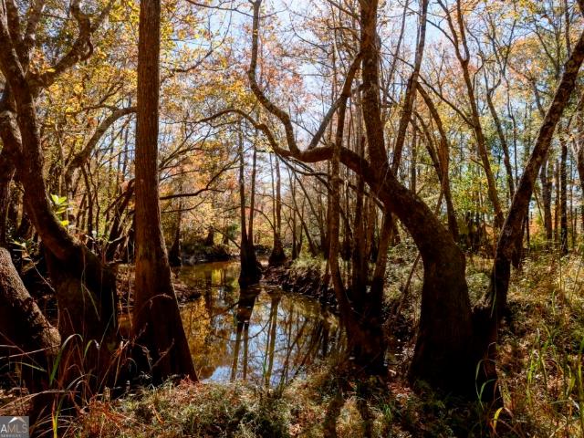 0 Twin Forks Rd/martin Rd, Unit TRACT 5, Statesboro, GA 30458 | MLS #10700 | Compass