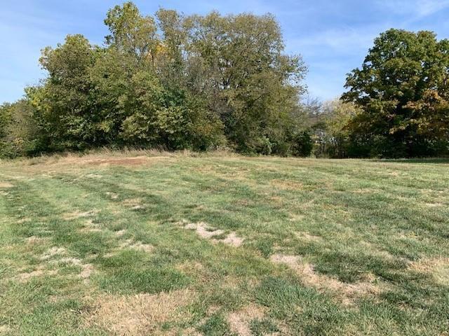 0 Twin Oaks Pkwy, Peculiar, MO 64078 | MLS #2392