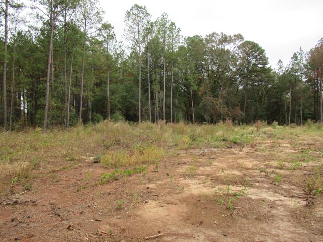 0 Twin Pines Rd