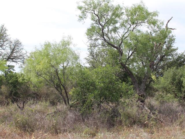 0 Tx 29 Hwy, Llano, TX 78643 | MLS #12949 | Compass