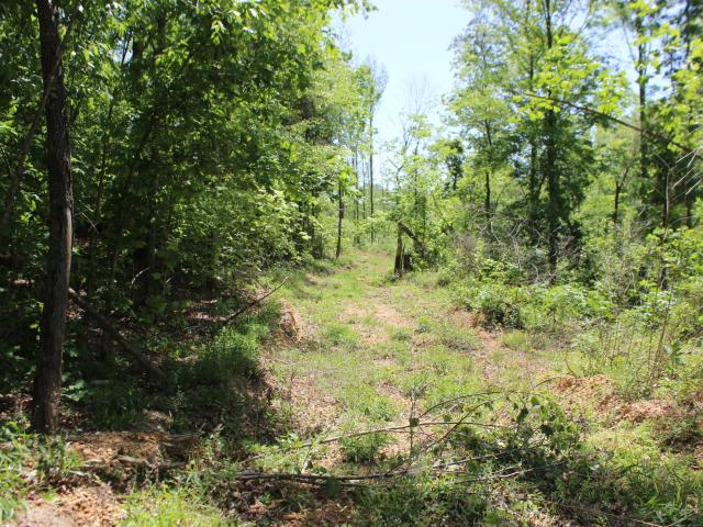 0 T S Chester Tract A Road # 0