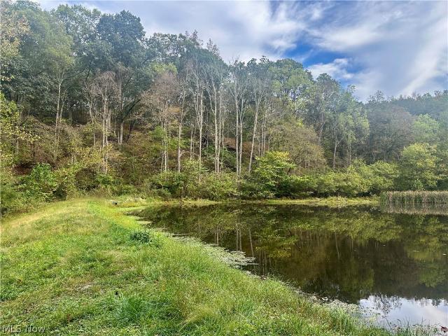 0 Tadpole Run Rd