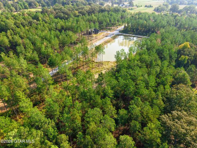 0 Tall Pines