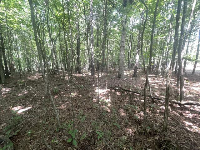 0 Tall Woods Ln