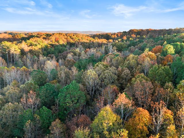 0 Tarvin Rd, Rock Spring, GA 30739 | MLS #1523