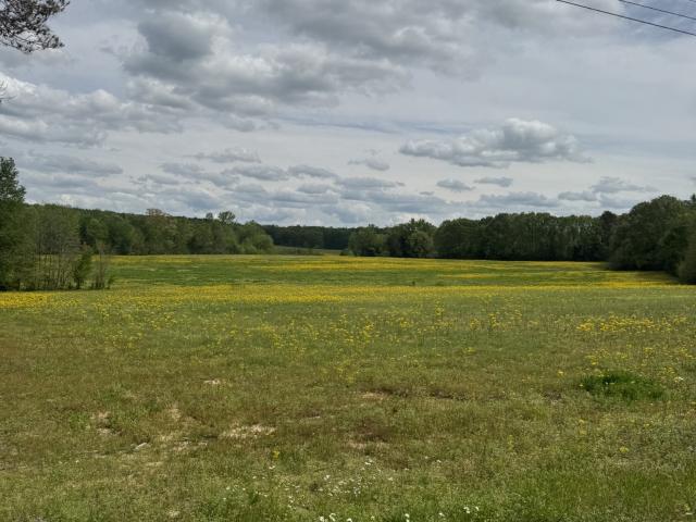 0 Taylor Cemetery Rd
