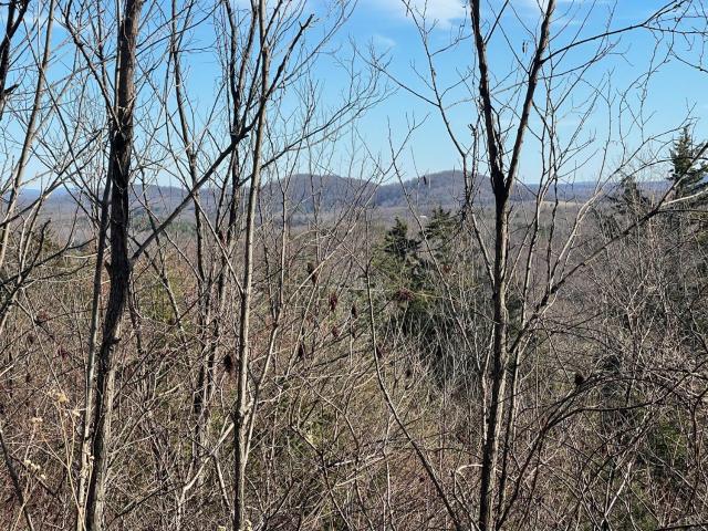 0 Taylors Mountain Road