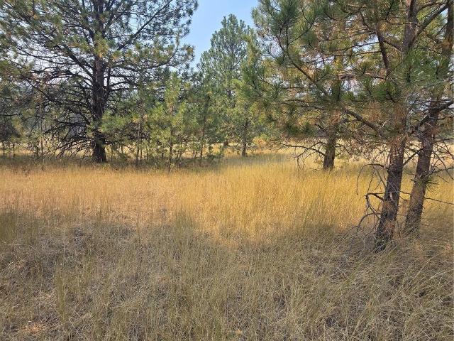 0 TBD Turner Lake Road