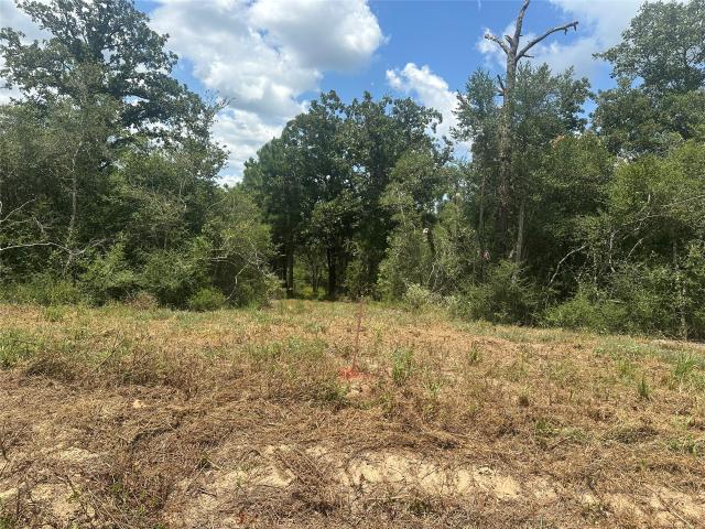 0 TBD County Road 322