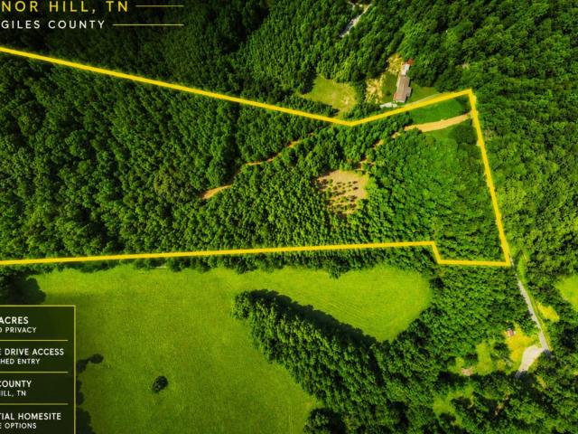 0 TBD Davis Hollow Road