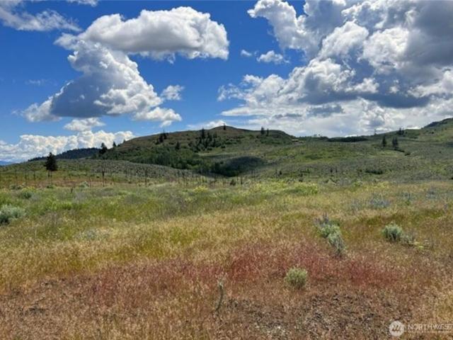 0 TBD Ellemeham Mountain Road